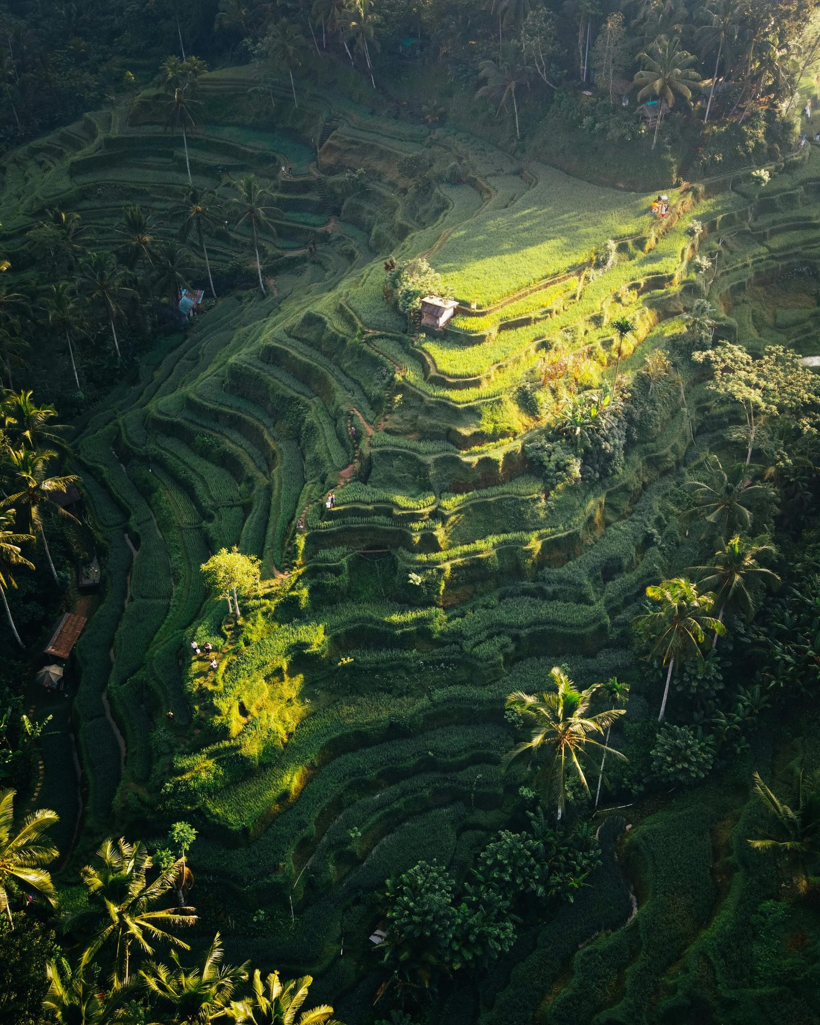 Bali Travel Guide #2: Discover the Whole Island the Laid-Back Way — The ...
